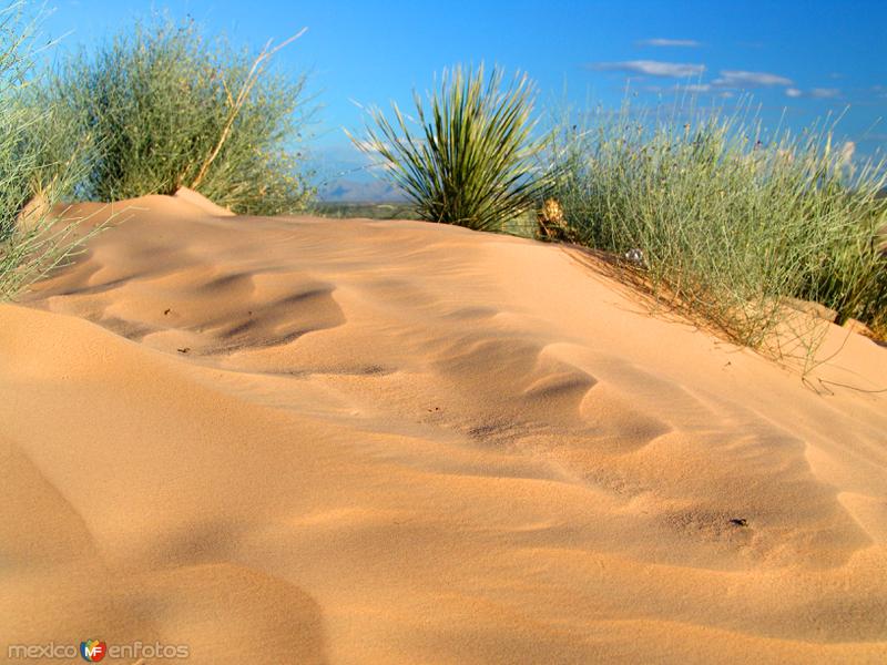 Los Arenales - Ciudad Juárez, Chihuahua (MX12182463188437)