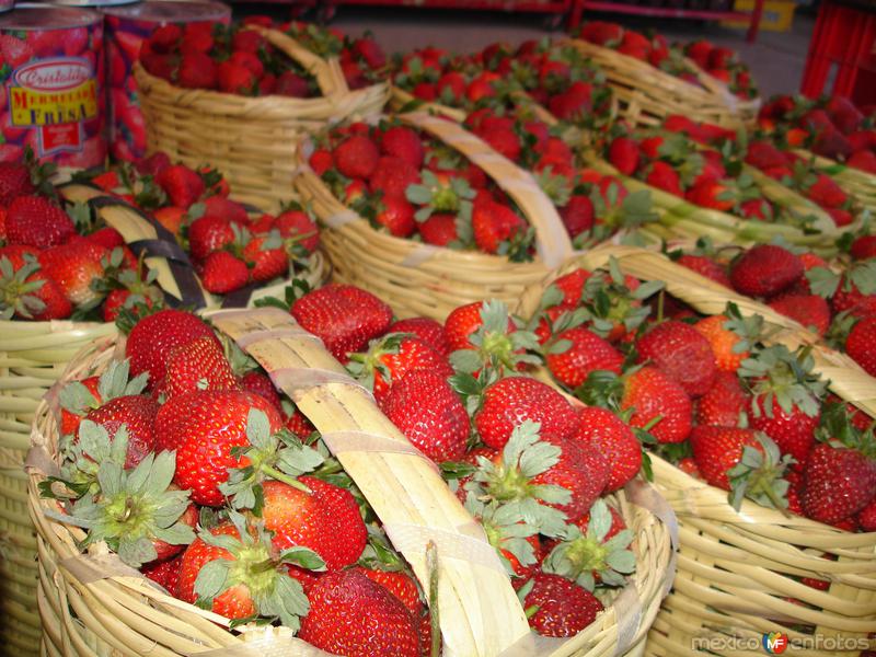 MÉXICO | Irapuato: Capital de las fresas | Page 5 | SkyscraperCity Forum